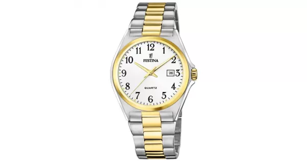 Festina Classic Bracelet 20554/1 : Goldex.cz